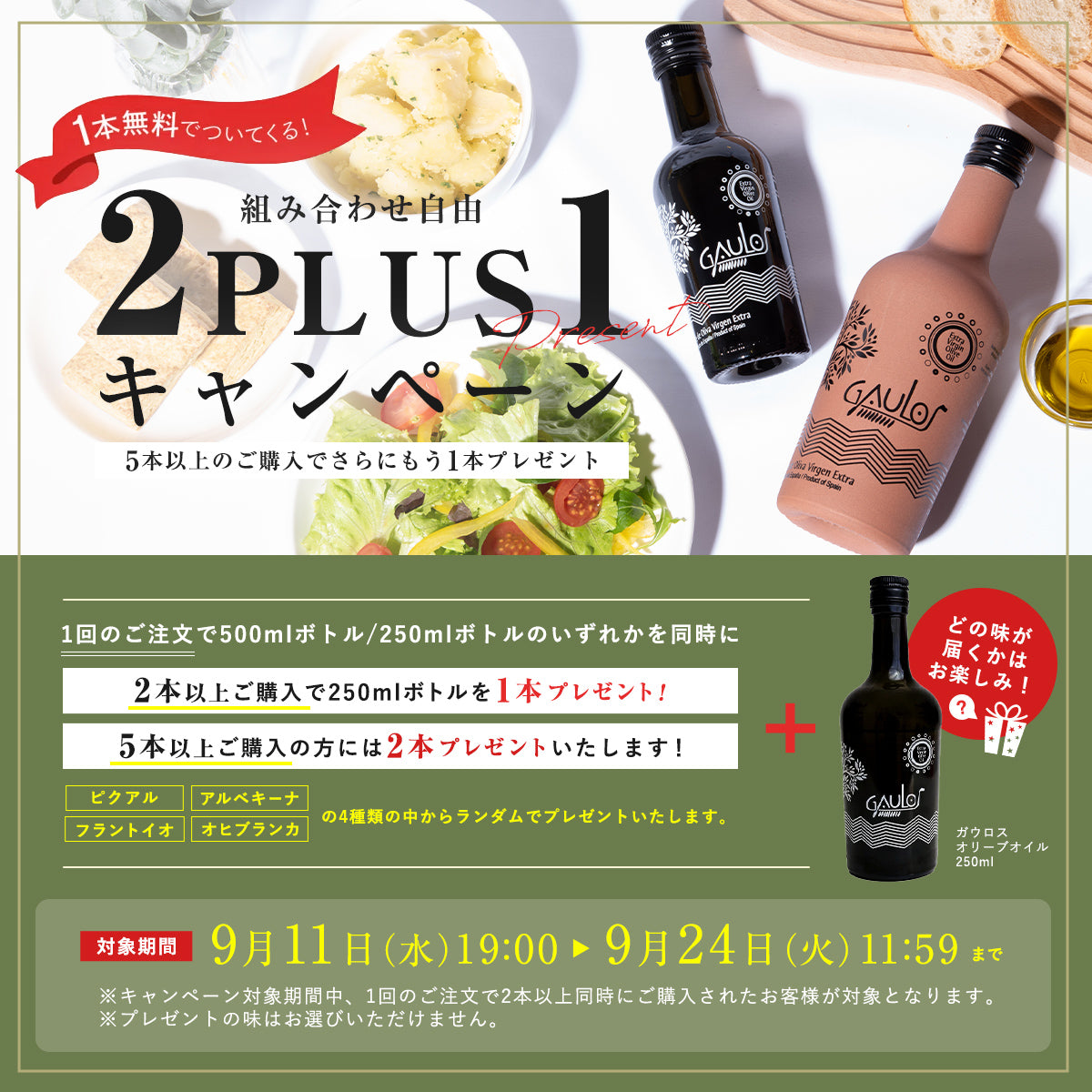 〈終了しました〉2本以上買ってもらえる「2 PLUS 1」キャンペーン – GAULOS JAPAN